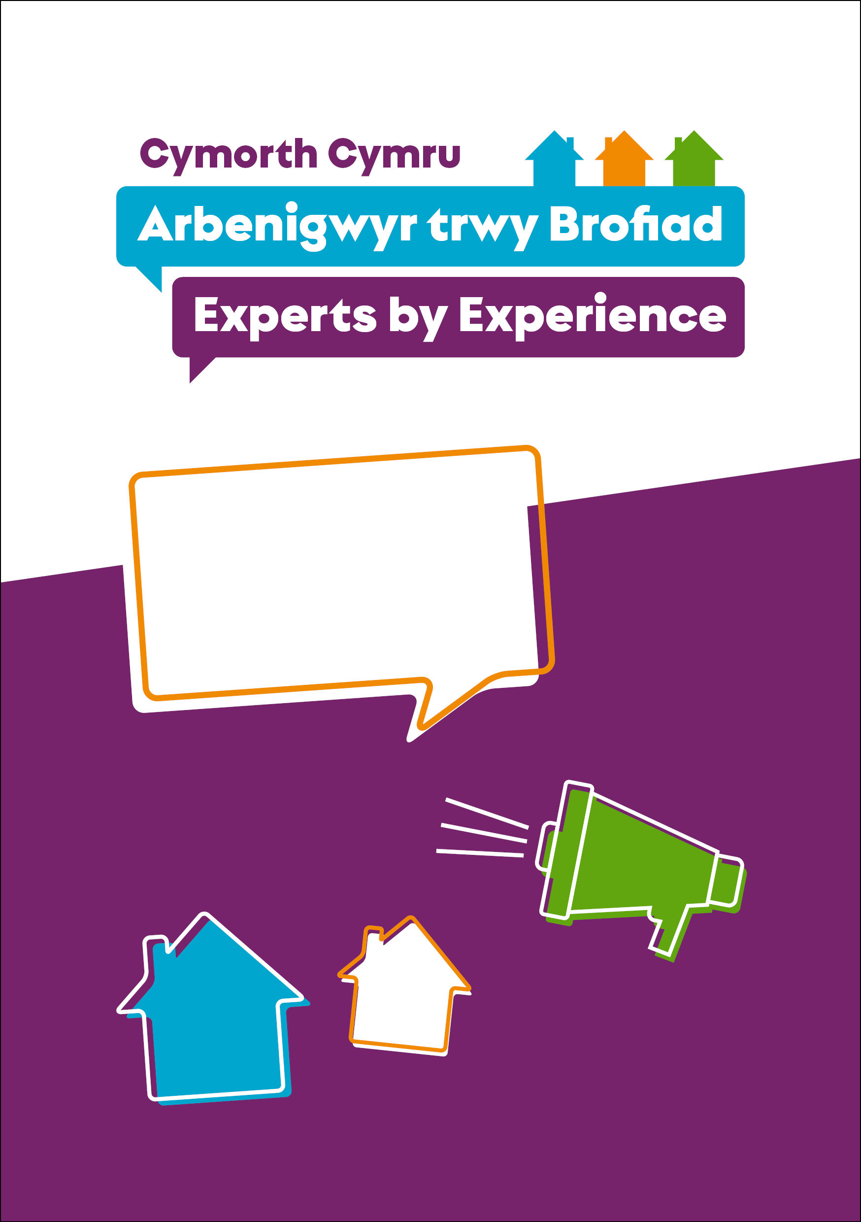 Third Paper to Expert Review Panel – Experts by Experience